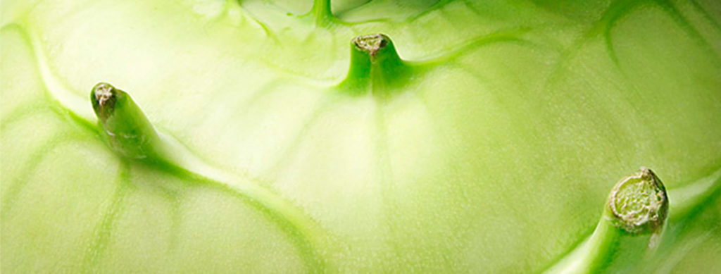 Laser cutting of fruit & vegetables with laser machines from EcoMark ...