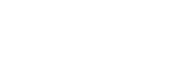 DMC Code laser - EcoMark